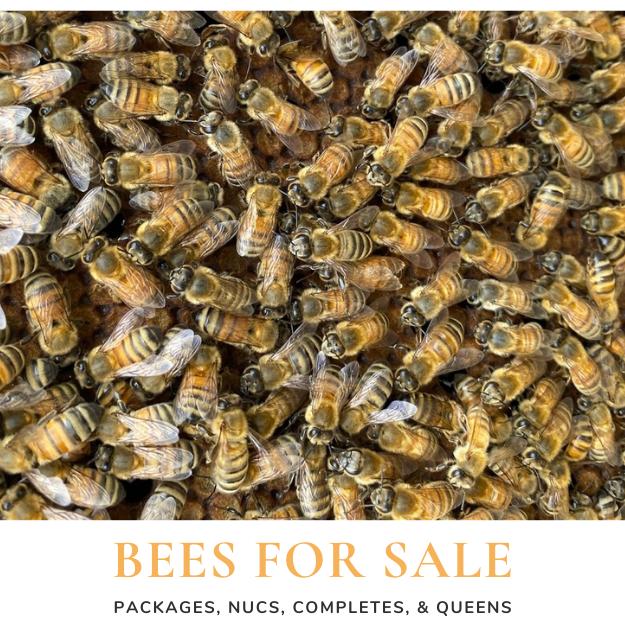Bees for Sale - Backyard Beekeeping in Los Angeles – Bill's Bees