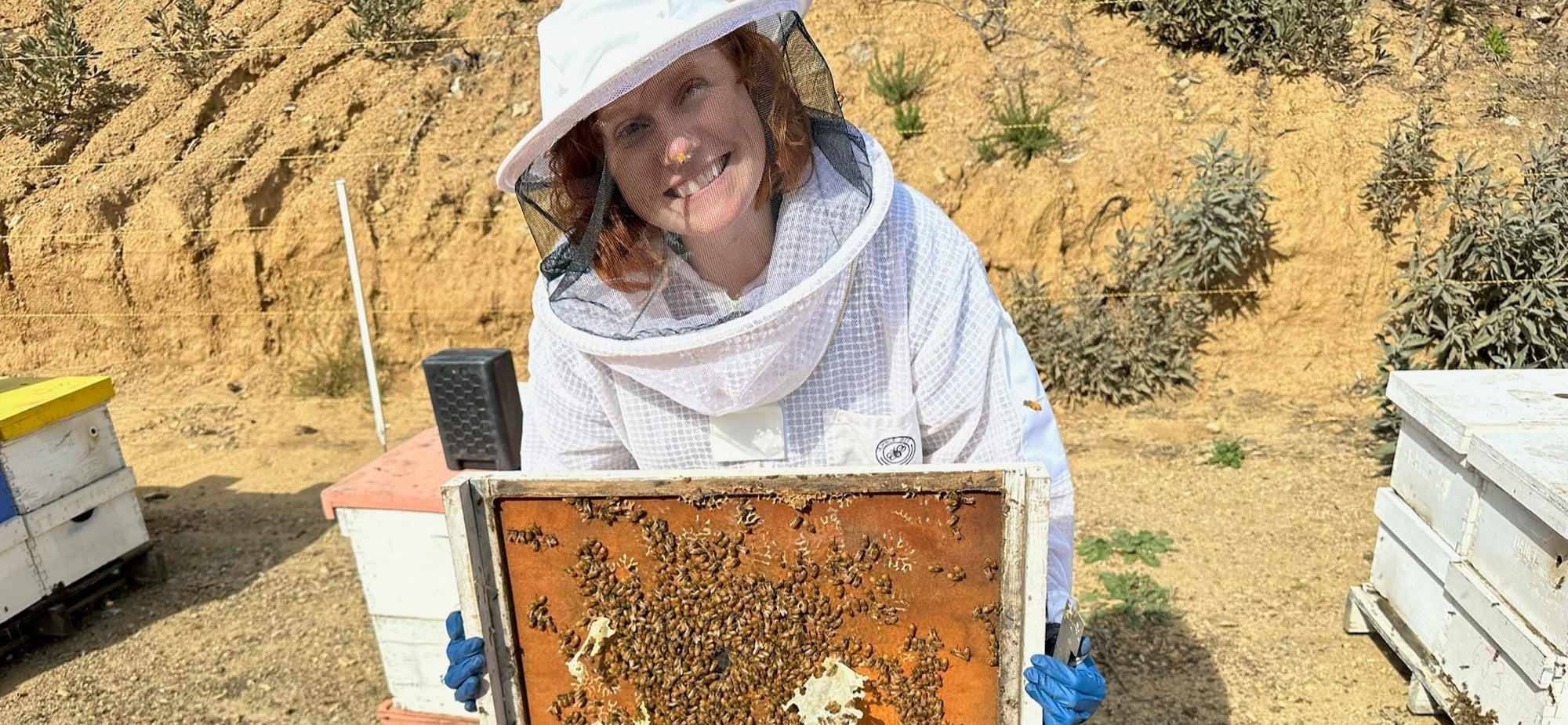 Bill's Bees - Local Bees, Pollination, Pure, Raw Honey from California