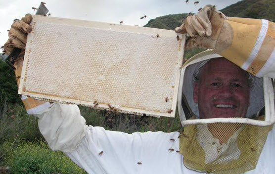 Best 100% Raw Local Wildflower Honey from California – Bill's Bees